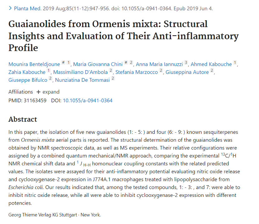 原料介紹｜摩洛哥野洋甘菊 (Chamomile wild) - 樸真精油專家